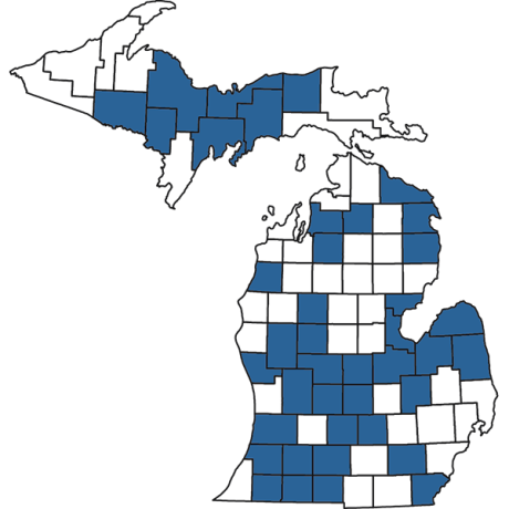 Michigan Chip Growers | MI Potatoes Growers